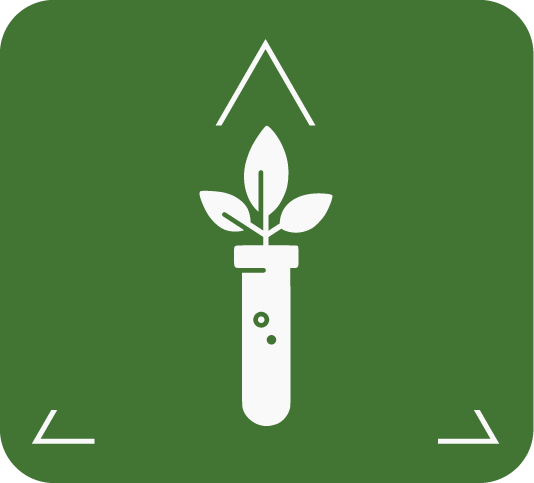 BORN Naturals - Quality Self Care Products & Supplements